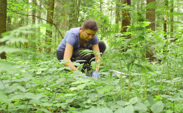 Biogeography Images – Browse 6 Stock Photos, Vectors, and Video | Adobe ...