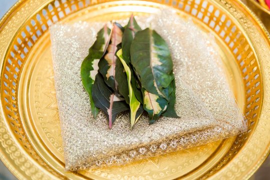 รูปภาพAuguration – เลือกดูภาพถ่ายสต็อก เวกเตอร์ และวิดีโอ107 | Adobe Stock