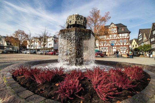 Haiger 이미지 – 찾아보기 202 스톡 사진, 벡터 및 비디오 | Adobe Stock