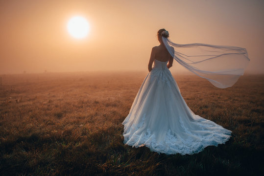 Free Wedding Images – Browse 23,155 Free Stock Photos, Vectors, and ...