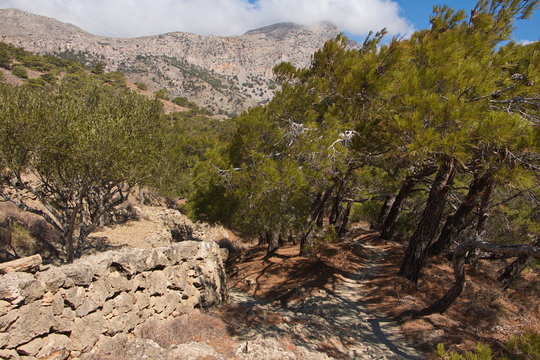 รูปภาพCarpathos – เลือกดูภาพถ่ายสต็อก เวกเตอร์ และวิดีโอ236 | Adobe Stock