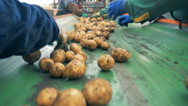 Sorting Изображения: просматривайте стоковые фотографии, векторные ...