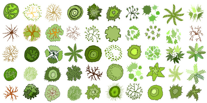 Landscape Plan Symbols 이미지 – 찾아보기 11,677 스톡 사진, 벡터 및 비디오 | Adobe Stock