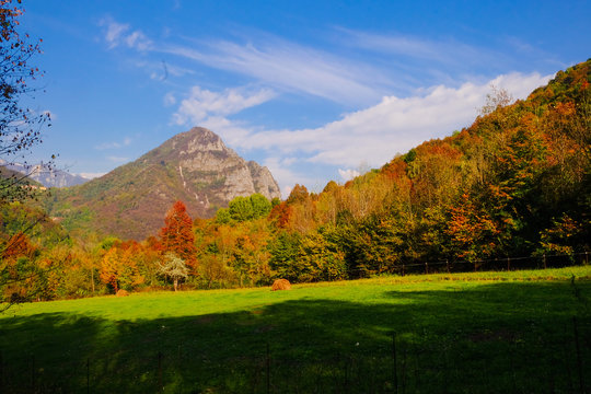 Posina Bilder – Durchsuchen 39 Archivfotos, Vektorgrafiken und Videos ...