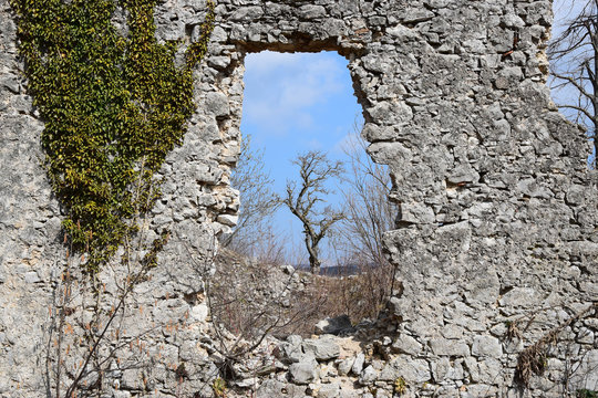 Kalec Images – Browse 26 Stock Photos, Vectors, and Video | Adobe Stock