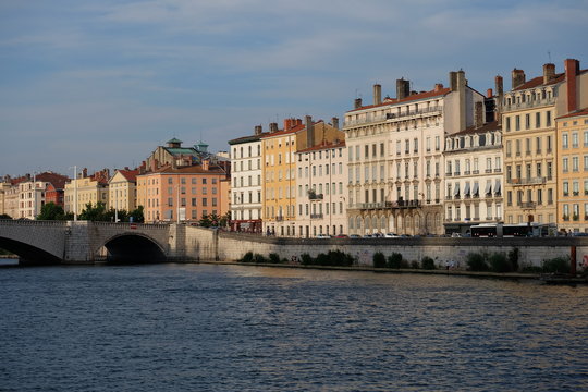 Lionees Images – Browse 529 Stock Photos, Vectors, and Video | Adobe Stock