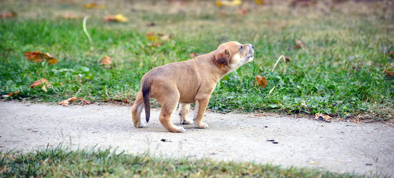 Shable Images – Browse 55 Stock Photos, Vectors, and Video | Adobe Stock