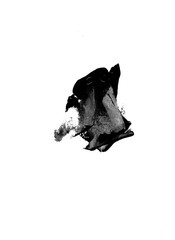 Szukaj zdjęć: malarstwo olej konie