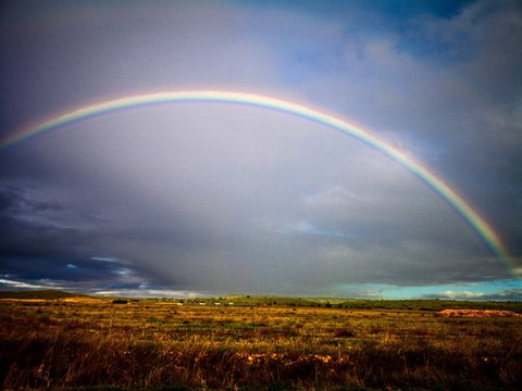 รูปภาพArcoiris – เลือกดูภาพถ่ายสต็อก เวกเตอร์ และวิดีโอ3,102 | Adobe Stock