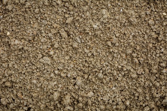 Wet Soil Texture Images – Browse 59,025 Stock Photos, Vectors, and ...