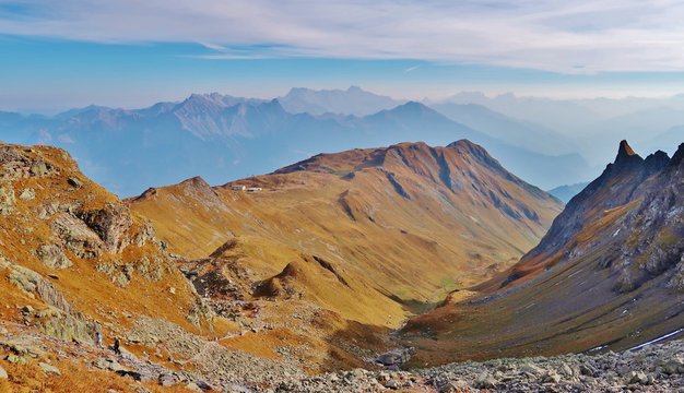 「Grasnarbe」の写真素材 | 454件の無料イラスト画像 | Adobe Stock