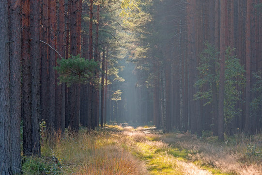 Dukt Images – Parcourir 195 le catalogue de photos, vecteurs et vidéos ...