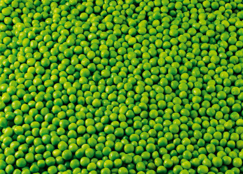 Poi bilder – Bläddra bland 19,112 stockfoton, vektorer och videor ...