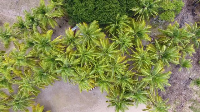 Awala-Yalimapo Bilder – Durchsuchen 107 Archivfotos, Vektorgrafiken und ...