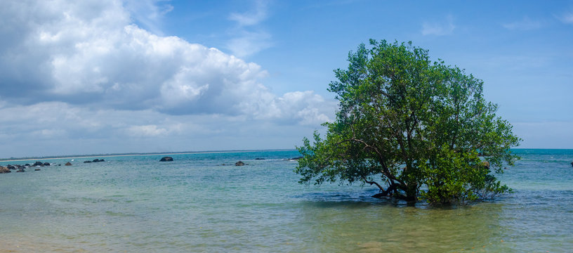Imagens de Boipeba – Explore Fotografias do Stock, Vetores e Vídeos de ...