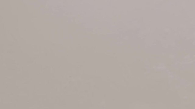 20P Images – Browse 160 Stock Photos, Vectors, and Video | Adobe Stock