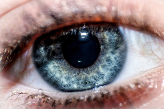 Imagens de Wimper – Explore Fotografias do Stock, Vetores e Vídeos de ...