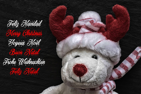 Imágenes de Merry Christmas Reno: descubre bancos de fotos ...