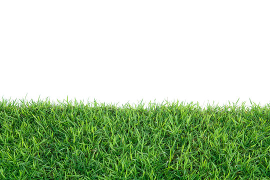 Free Grass Images – Browse 27,207 Free Stock Photos, Vectors, and Video ...