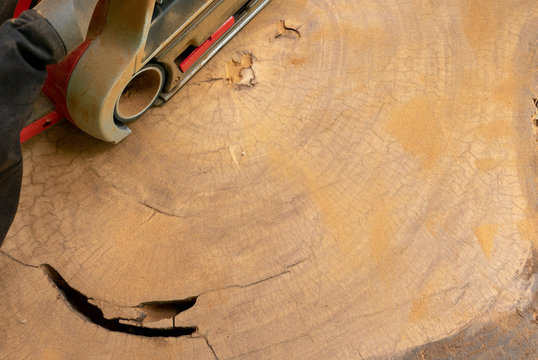 รูปภาพBelt-Sander – เลือกดูภาพถ่ายสต็อก เวกเตอร์ และวิดีโอ137 | Adobe Stock