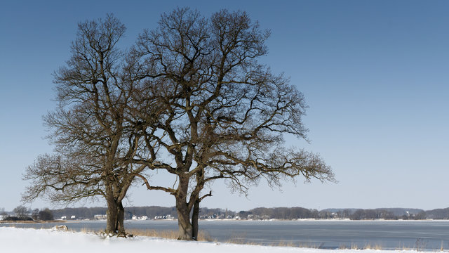 Ulsnis Bilder – Durchsuchen 26 Archivfotos, Vektorgrafiken und Videos ...