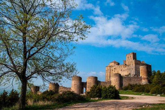 รูปภาพCastillo – เลือกดูภาพถ่ายสต็อก เวกเตอร์ และวิดีโอ97,797 | Adobe Stock