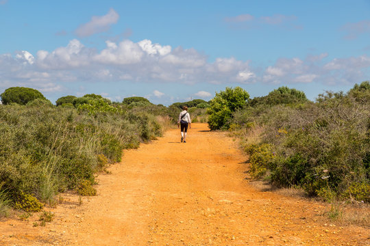 Sandweg Images – Browse 1,170 Stock Photos, Vectors, and Video | Adobe ...