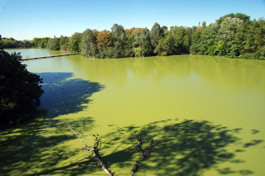 รูปภาพDombes – เลือกดูภาพถ่ายสต็อก เวกเตอร์ และวิดีโอ856 | Adobe Stock