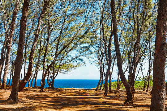 280 IMAGES, PHOTOS ET ILLUSTRATIONS VECTORIELLES STOCK APPROPRIÉES SUR ...