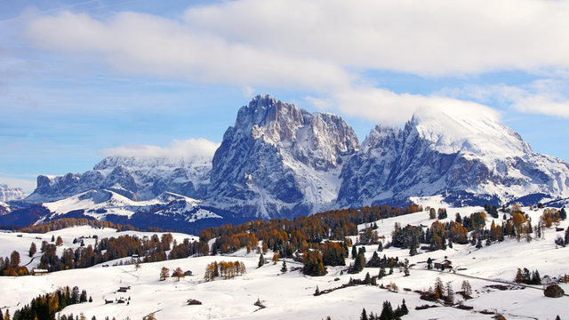 Cadaverin Bilder – Durchsuchen 94,356 Archivfotos, Vektorgrafiken und ...