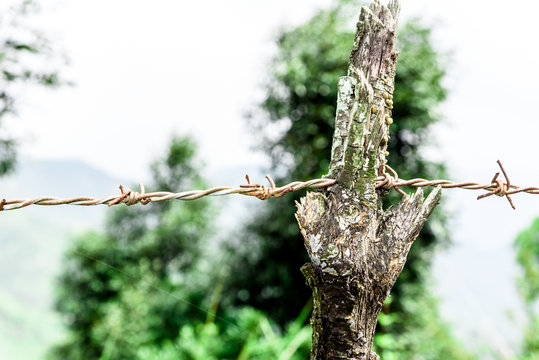 Fancing Bilder – Durchsuchen 75 Archivfotos, Vektorgrafiken und Videos ...