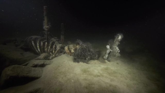 รูปภาพWasserleiche – เลือกดูภาพถ่ายสต็อก เวกเตอร์ และวิดีโอ18 | Adobe Stock