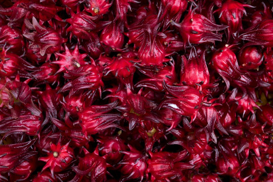 Bissap - Images et vidéos libres de droits | Adobe Stock