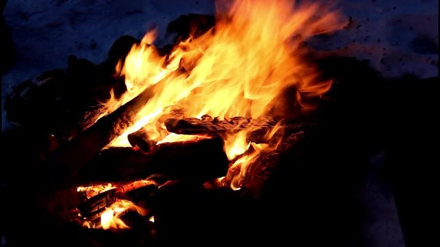 รูปภาพFlamboyer – เลือกดูภาพถ่ายสต็อก เวกเตอร์ และวิดีโอ18 | Adobe Stock