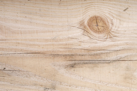 "Wood Veins"-Bilder: Stock-Fotos & -Videos. | Adobe Stock