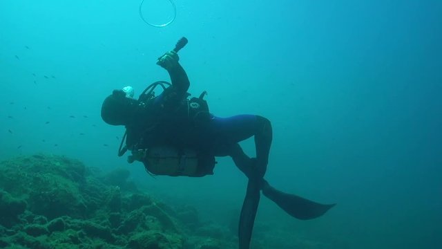 Taucher Imagens – Procure 10,599 fotos, vetores e vídeos | Adobe Stock