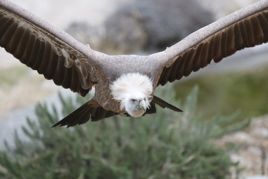 Barios Images – Browse 182 Stock Photos, Vectors, and Video | Adobe Stock