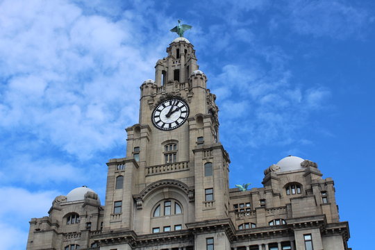 Liverbird Images – Browse 782 Stock Photos, Vectors, and Video | Adobe ...