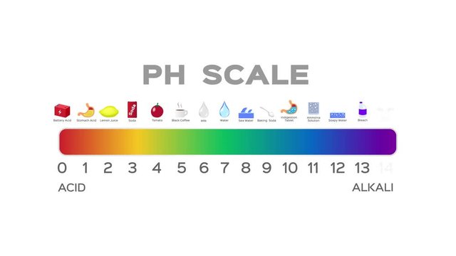 "Ph Scale" Images – Browse 28,256 Stock Photos, Vectors, and Video ...
