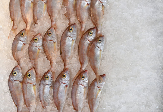 「Mercan」の画像 - 144 件の Stock 写真、ベクターおよびビデオ | Adobe Stock