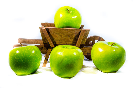 รูปภาพFalower – เลือกดูภาพถ่ายสต็อก เวกเตอร์ และวิดีโอ25 | Adobe Stock