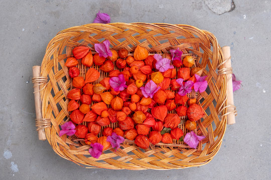 Boug Images – Browse 63 Stock Photos, Vectors, and Video | Adobe Stock