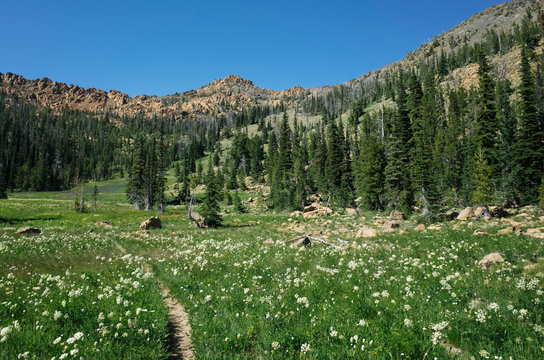 1,247,395 BEST Alpine IMAGES, STOCK PHOTOS & VECTORS | Adobe Stock