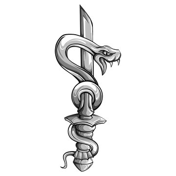 Snake Wrapped Around Sword