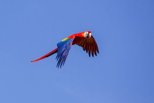 arne photos, images, assets | Adobe Stock