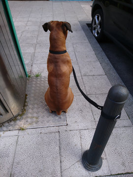 「Atado」の写真素材 | 894件の無料イラスト画像 | Adobe Stock