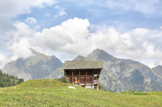 Imágenes de Walser: descubre bancos de fotos, ilustraciones, vectores y ...