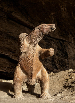 รูปภาพMegatherium – เลือกดูภาพถ่ายสต็อก เวกเตอร์ และวิดีโอ930 | Adobe Stock