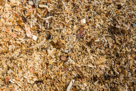 Serrin Images – Browse 20 Stock Photos, Vectors, and Video | Adobe Stock