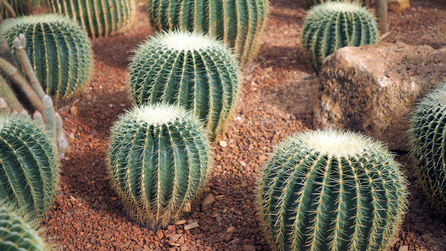 Hildm-Bilder: Stock-Fotos & -Videos. | Adobe Stock